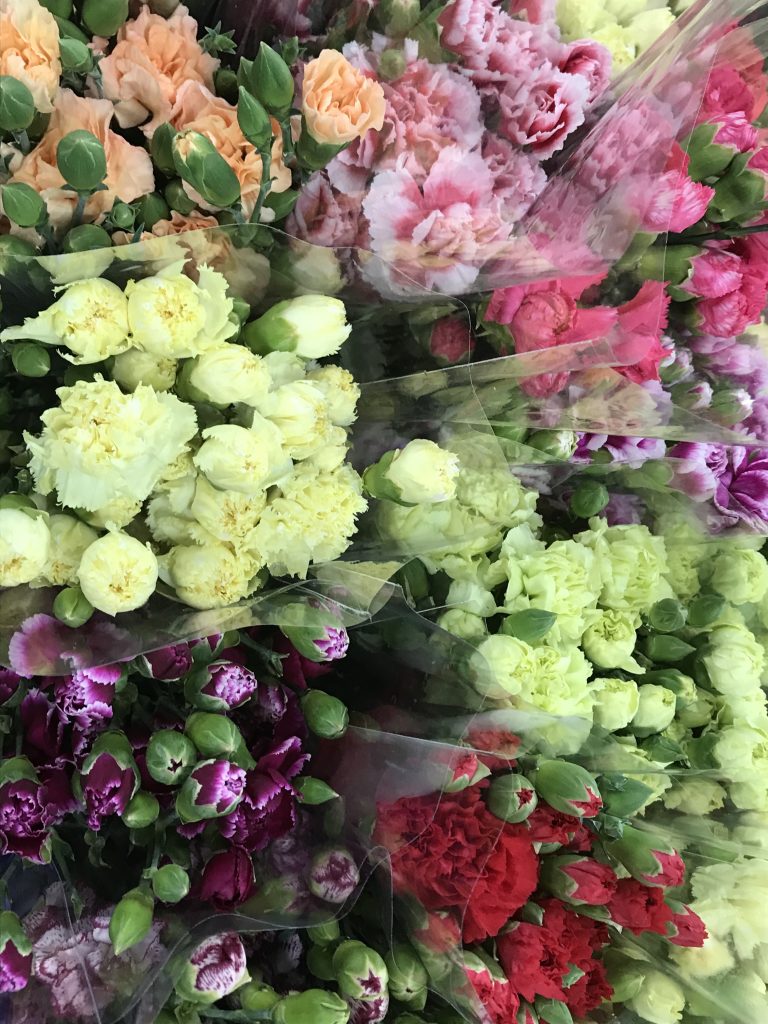 Carnations – Spray – Santospirito Flowers & Wholesalers